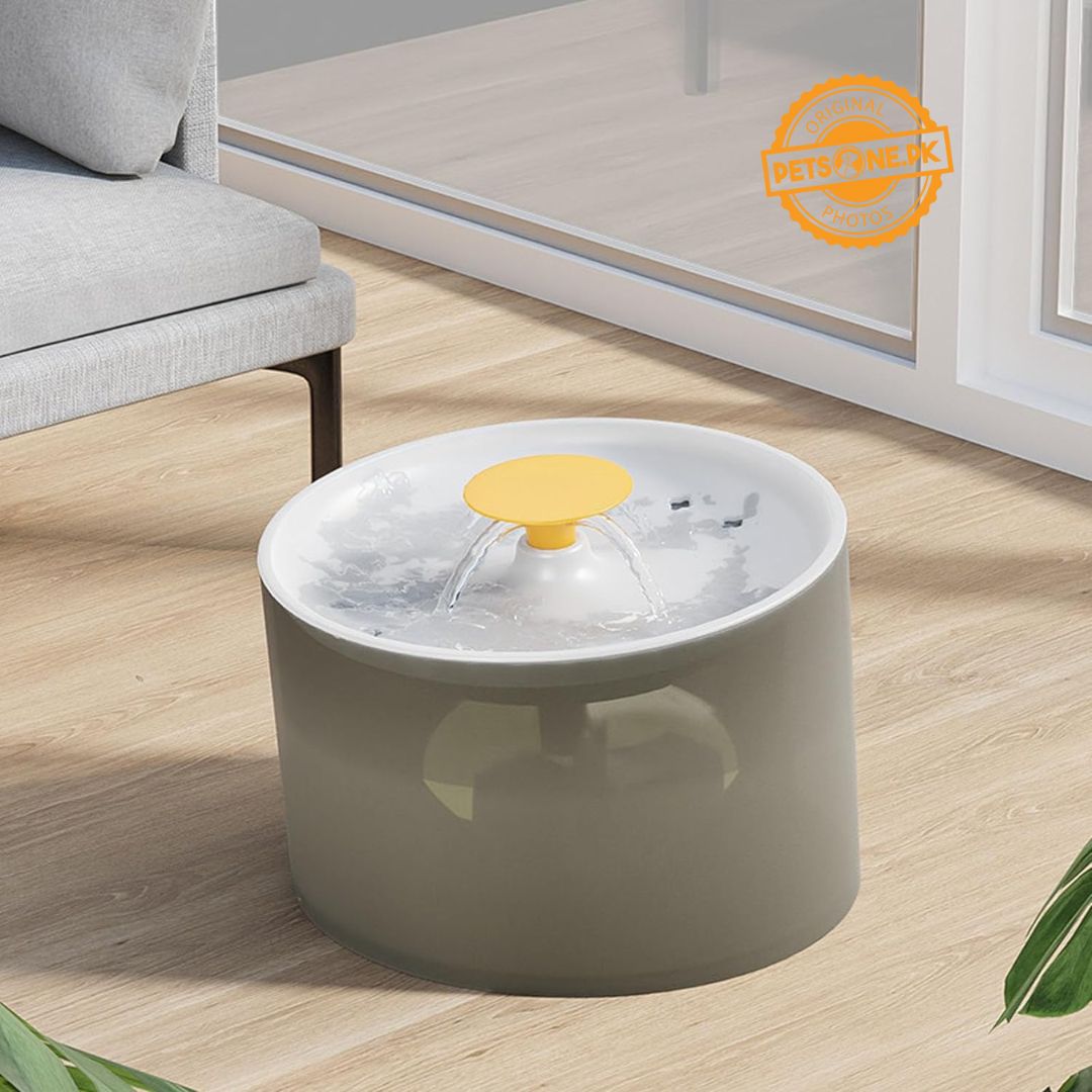 Automatic Cat/Dog Water Fountain - PetsOne.pk