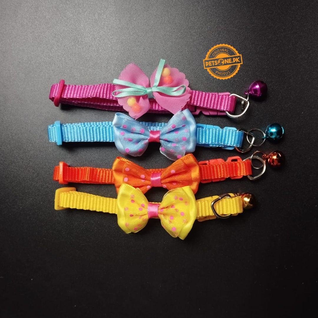 Cat Bow Collar / Bow Collar for Cats with Bell - PetsOne.pk