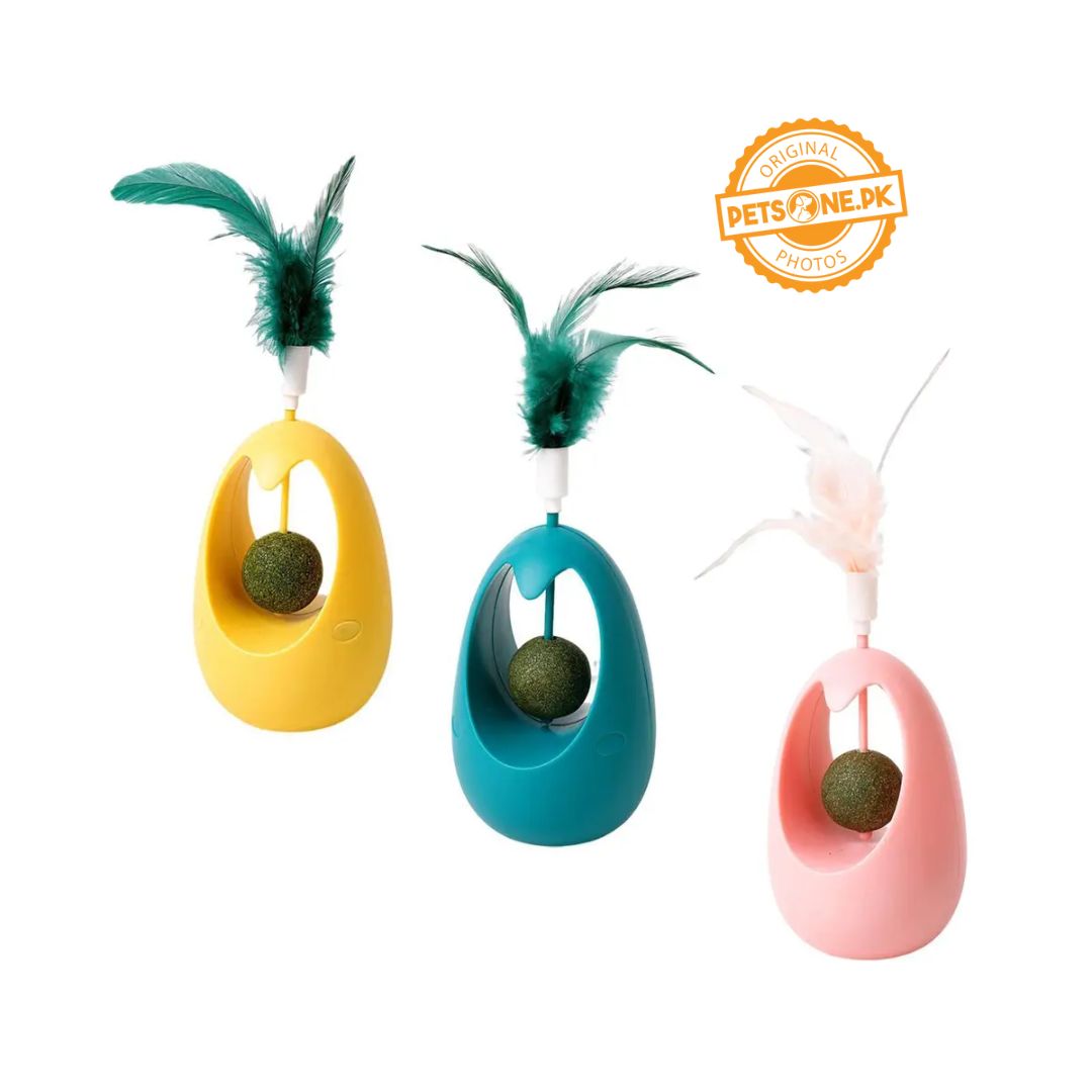 Funny Interactive Cat Toy With Catnip - PetsOne.pk