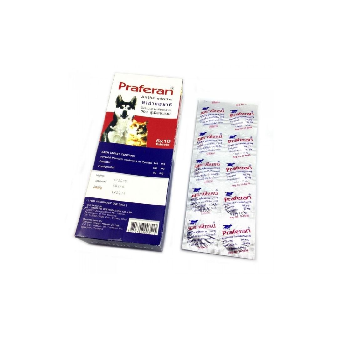 Praferan – 1 Deworming Tablet for Cat n Dogs / (Helminticide - L ...