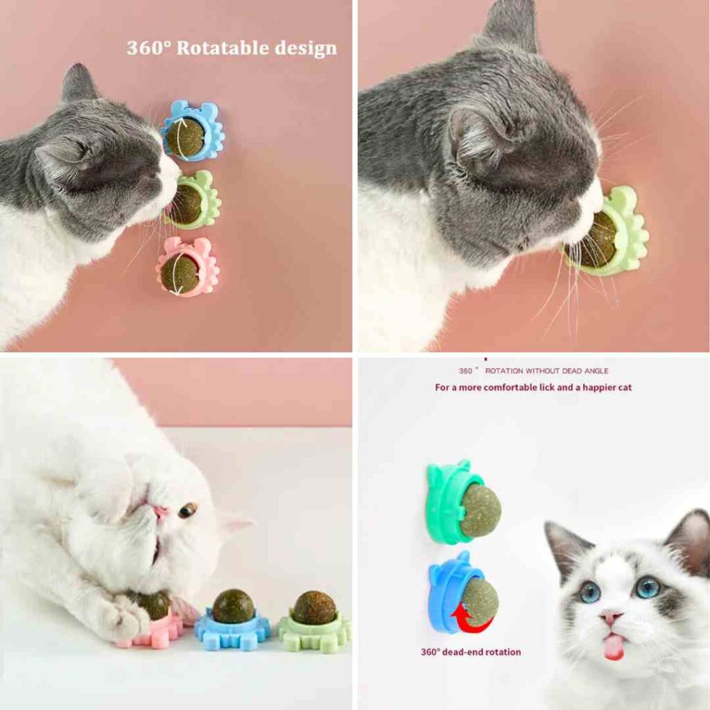 Croque Adult Cat Chicken - PetsOne.pk