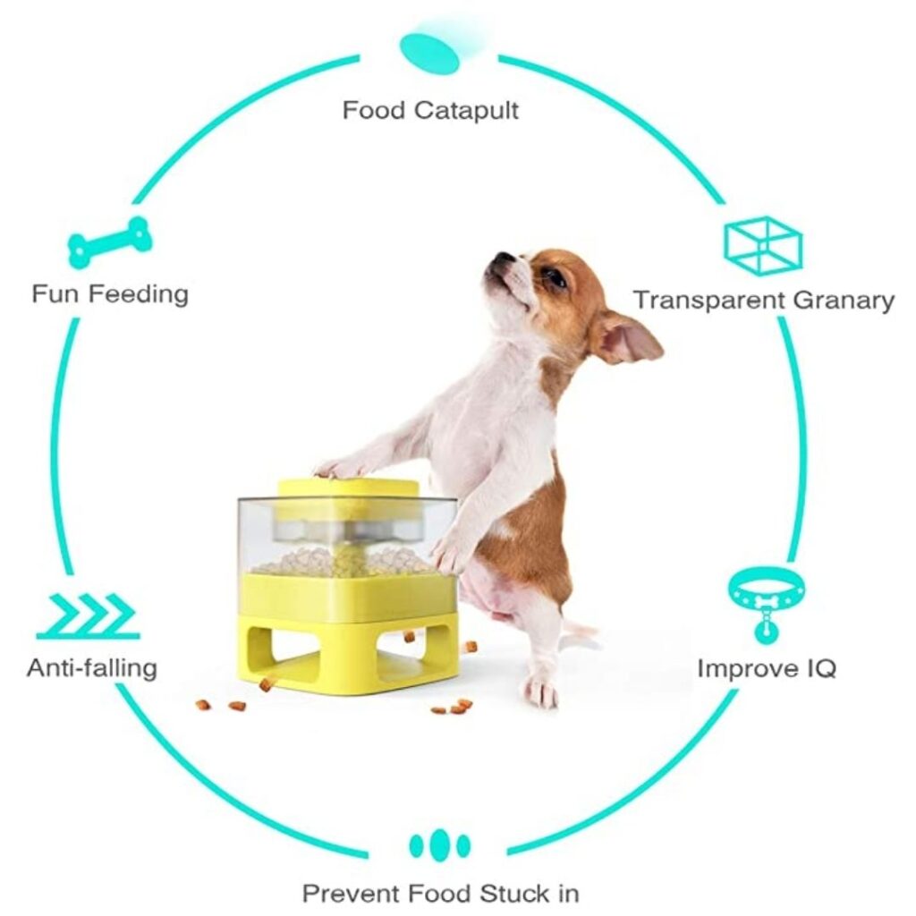 Dog Treat and Food Dispenser - PetsOne.pk