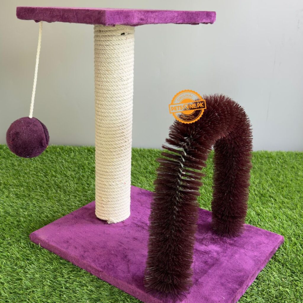 Scratching Post For Cats – 2 in 1 Pole Design - PetsOne.pk