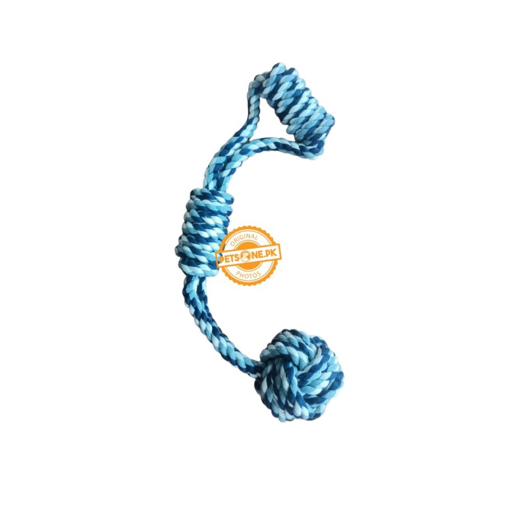 Spring Pole Dog Rope Toy - PetsOne.pk