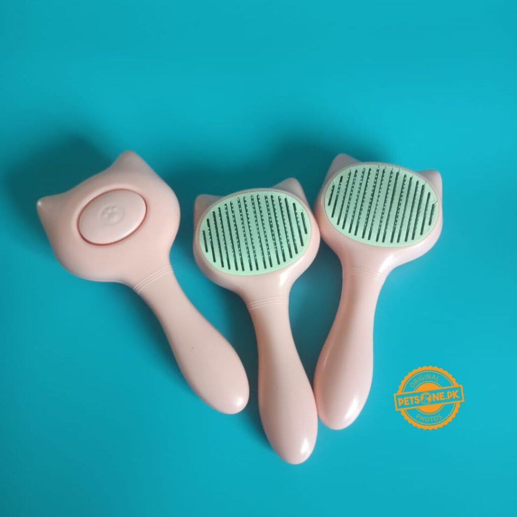 Paw Design Self Cleaning Brush For Cats And Dogs - PetsOne.pk