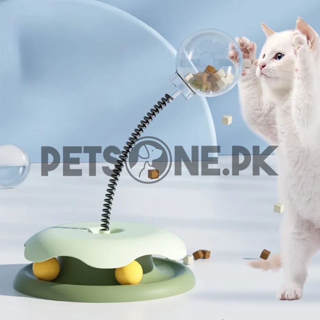 Interactive Pet Feeding Dispenser Ball With Spring - PetsOne.pk