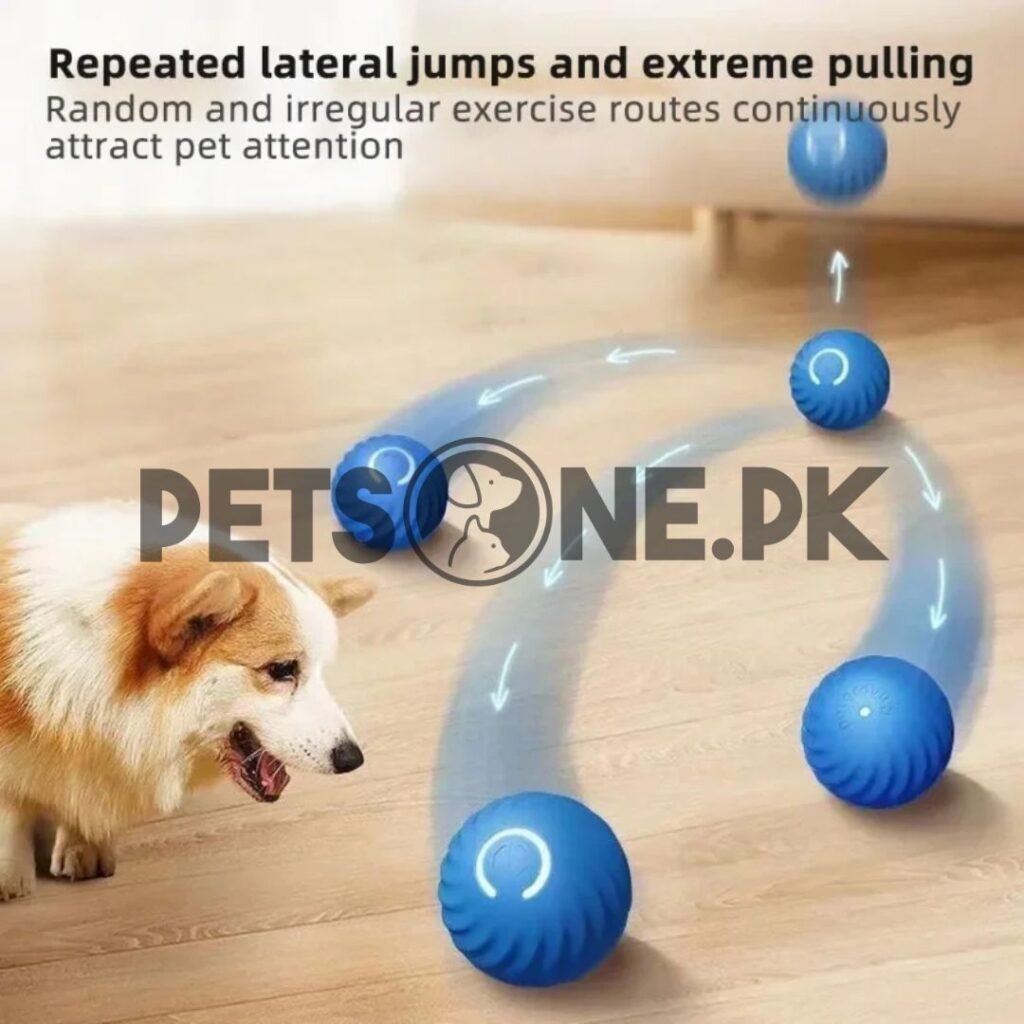 Interactive Moving Bouncing Ball Cat/Dog Toy - PetsOne.pk