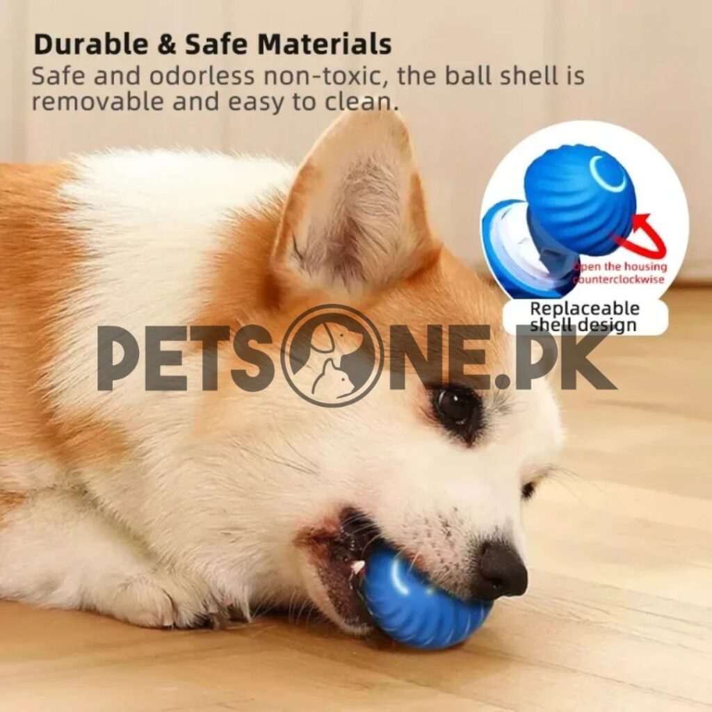 Interactive Moving Bouncing Ball Cat/Dog Toy - PetsOne.pk