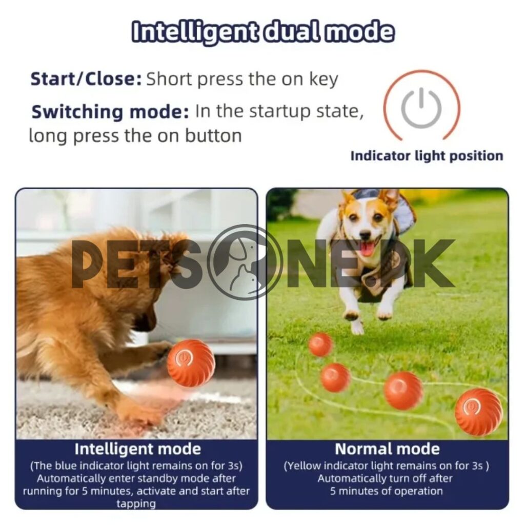 Interactive Moving Bouncing Ball Cat/Dog Toy - PetsOne.pk