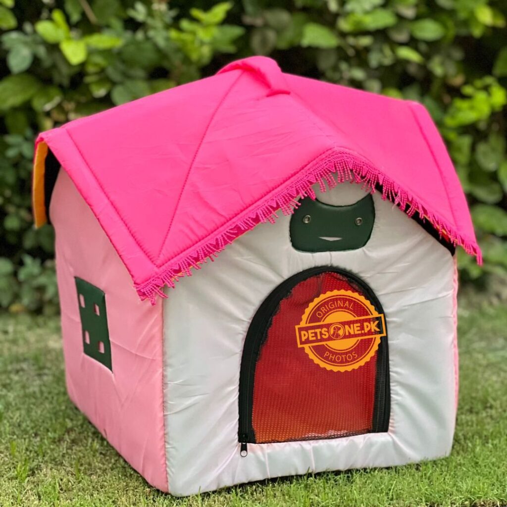 Cozy Cat House With Cat Face - PetsOne.pk